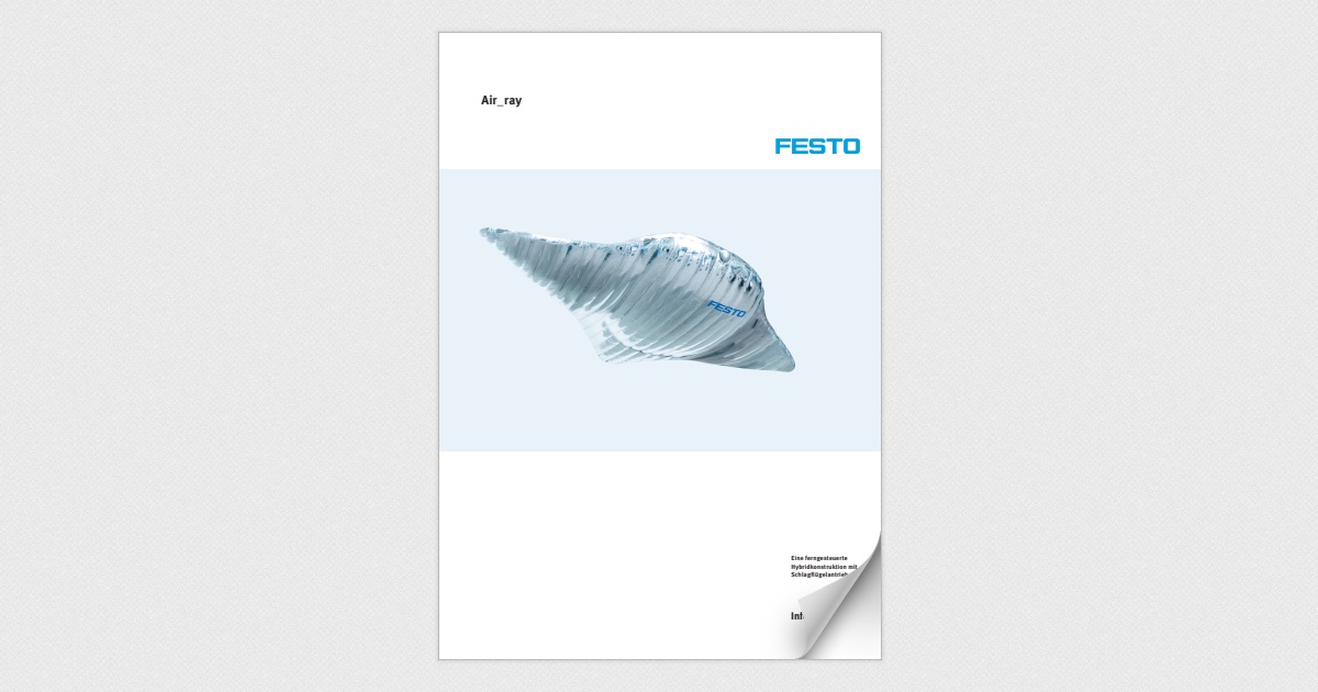 info_Air_ray_300910_de_lo