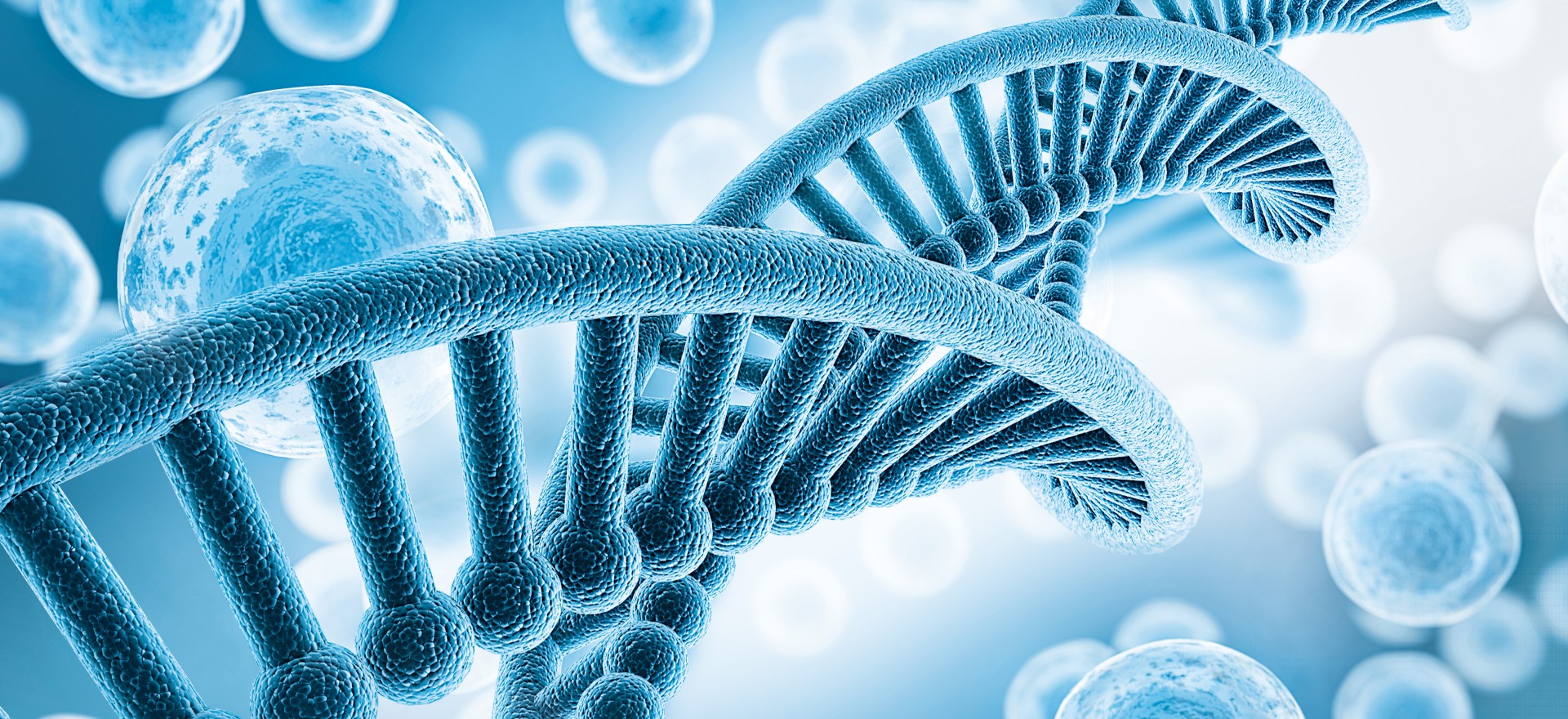 Life Sciences Festo TW