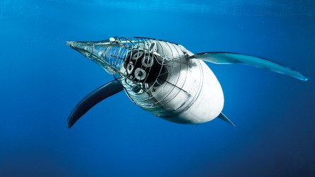 AquaPenguins | Festo DE