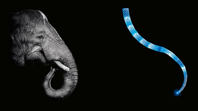 Bionic Learning Network | Festo SG