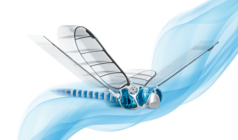 Taking a close look at wings in nature | Festo USA