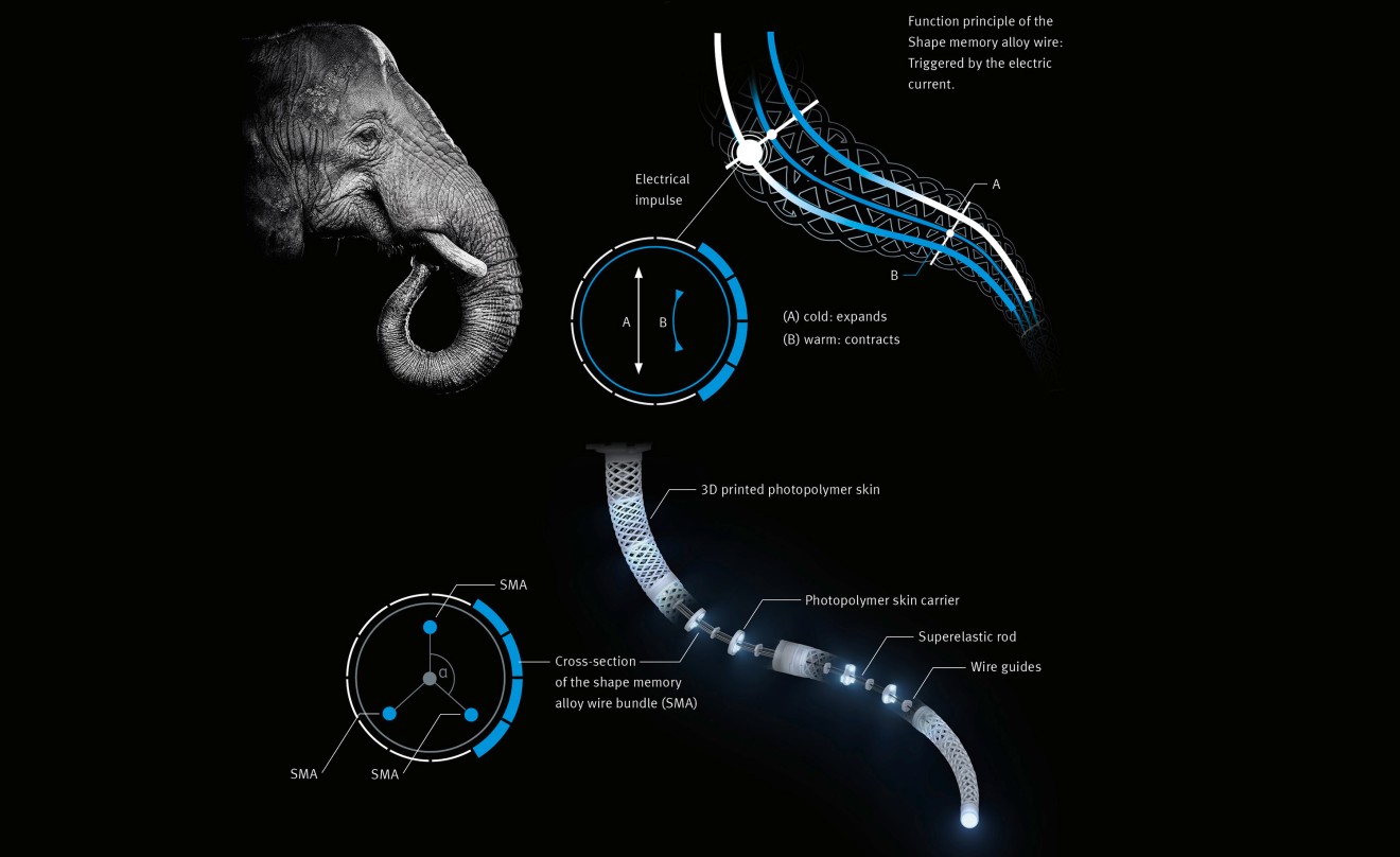 Bionic E-Trunk | Festo AT