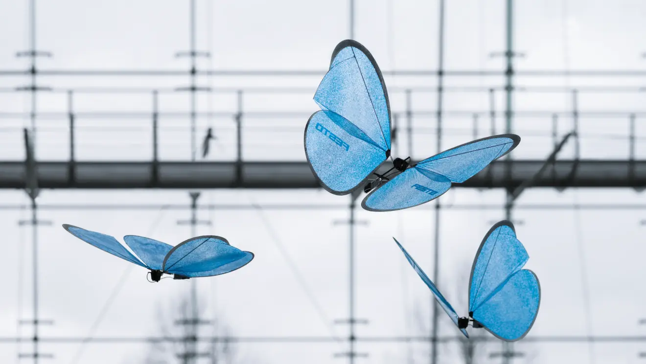 Bionic flying objects | Festo USA