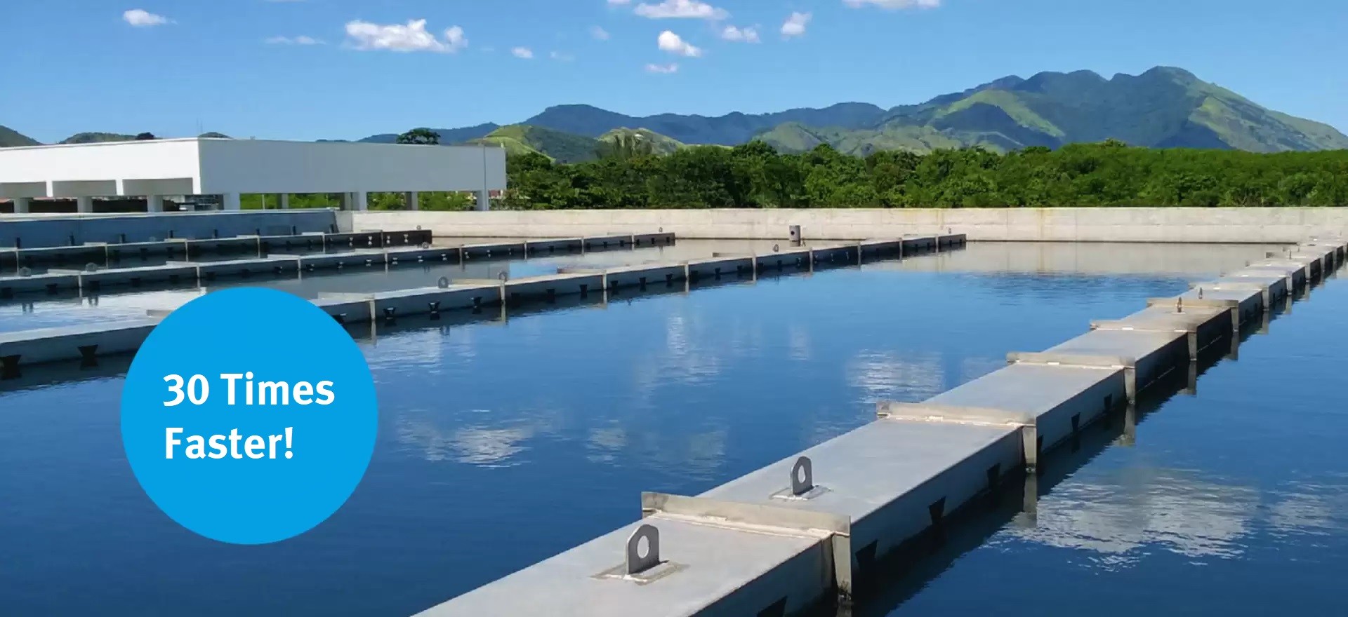 Automation solution for Nereda® technology | Festo TW