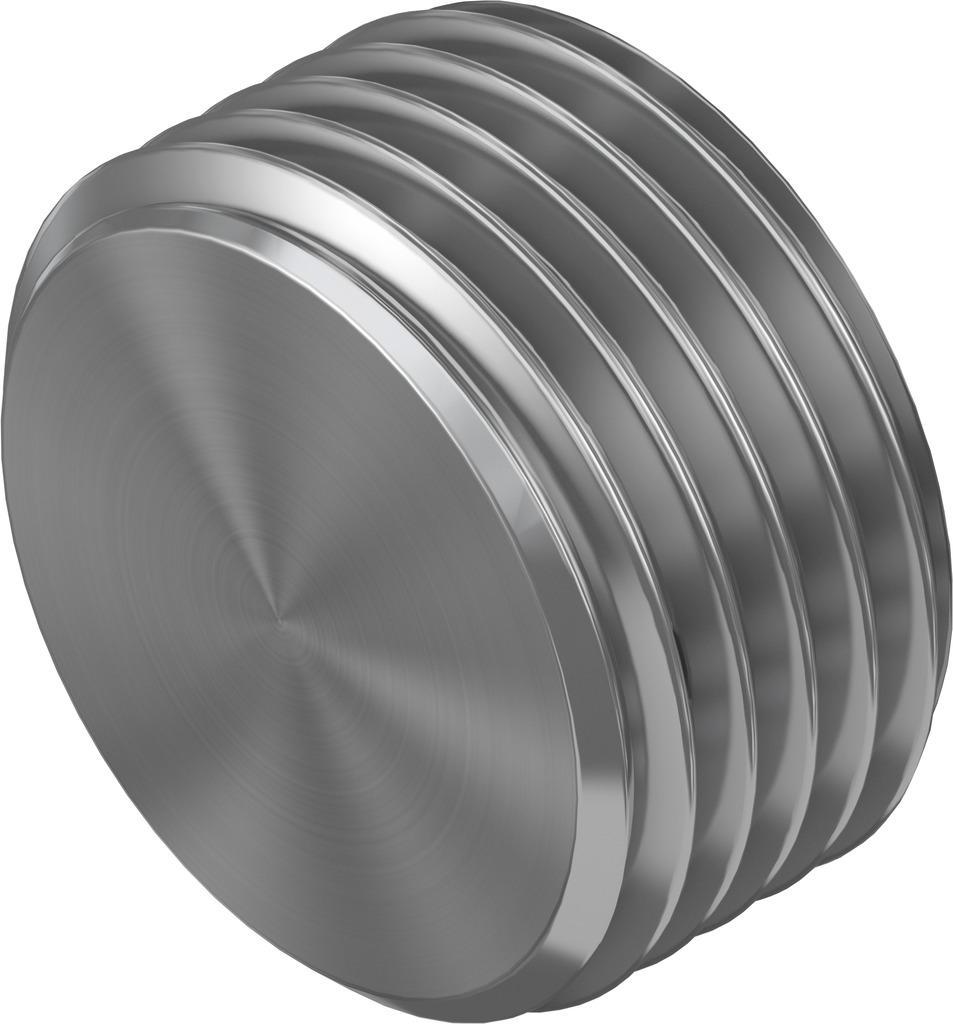 Blanking plug B-1/2-NPT | Festo USA