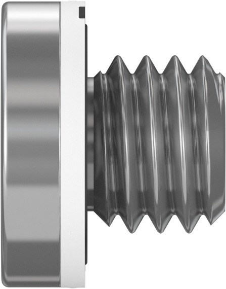 Blanking plug B-M5-B | Festo USA