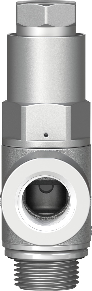 Piloted non return valve HGL-1/4-B | Festo USA