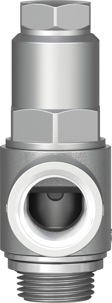 Piloted non return valve HGL-3/8-B | Festo USA