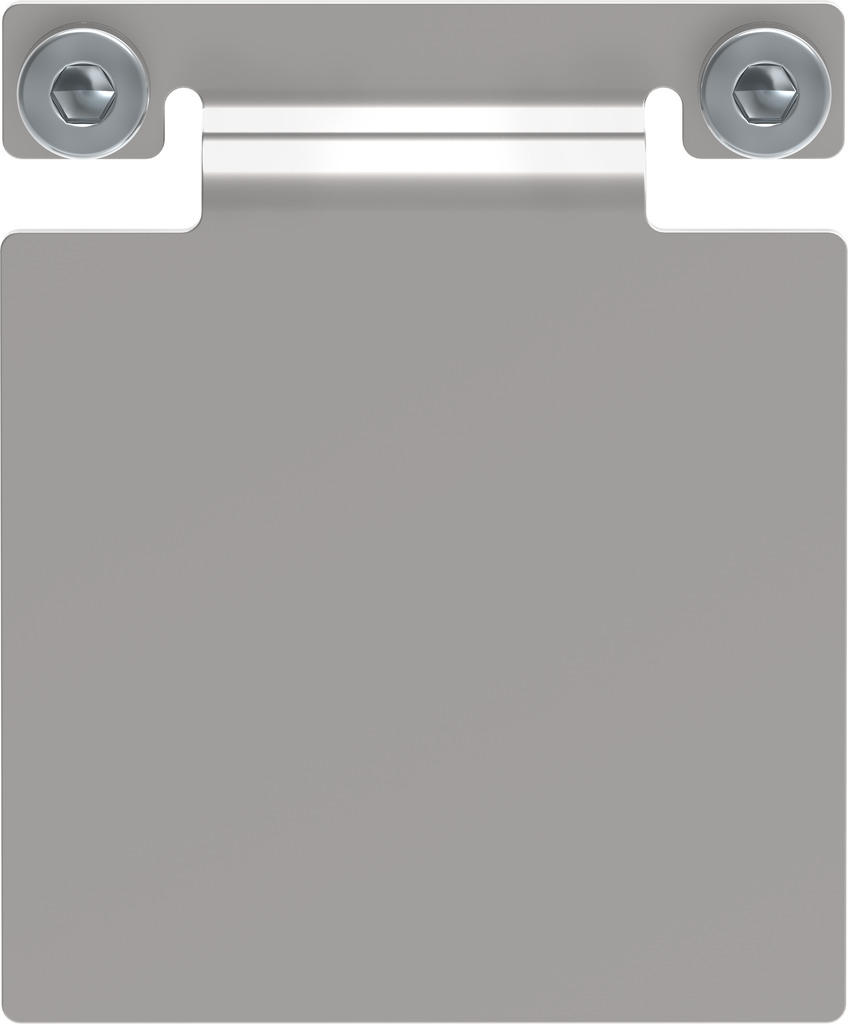 Switch lug EAPM-L2-80-SLS | Festo USA